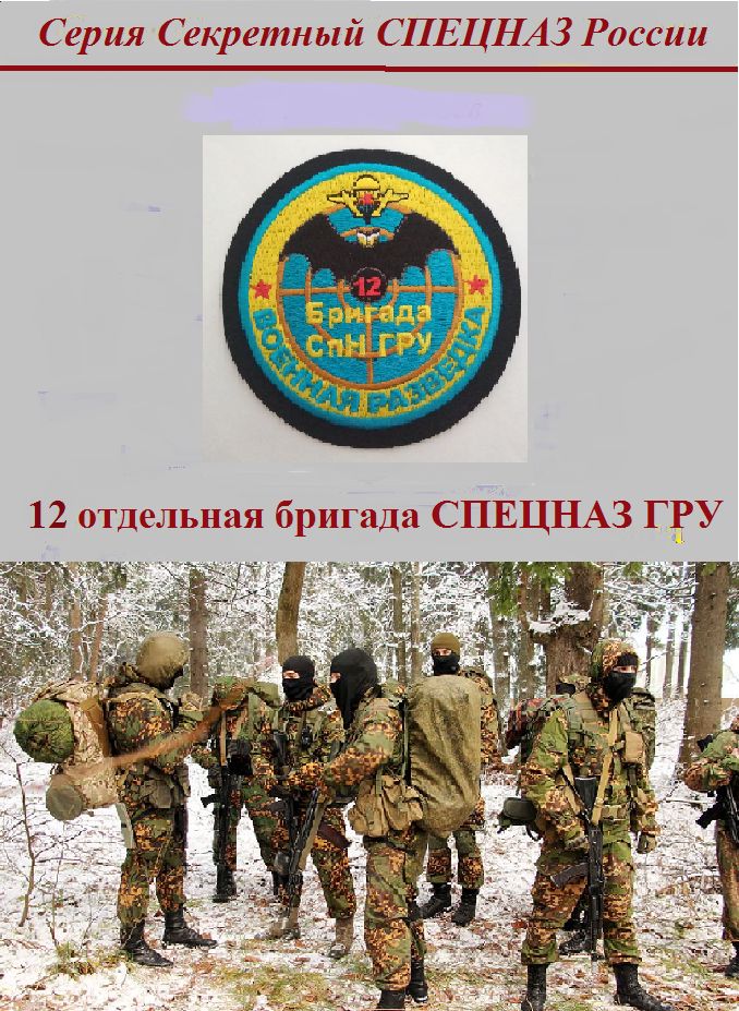 12 Отдельная бригада СПЕЦНАЗ ГРУ - Березкин Виталий - скачать на ...