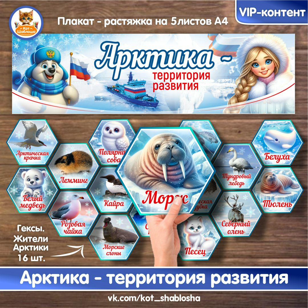 Плакат - растяжка и соты- гексы "Арктика - территория развития" для ...