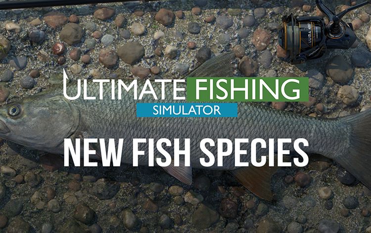 Ultimate Fishing Simulator - New Fish Species - скачать ключи на ...