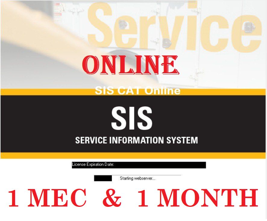 SIS CAT. 1 месяц - скачать ключи на Wildberries Цифровой | 497286