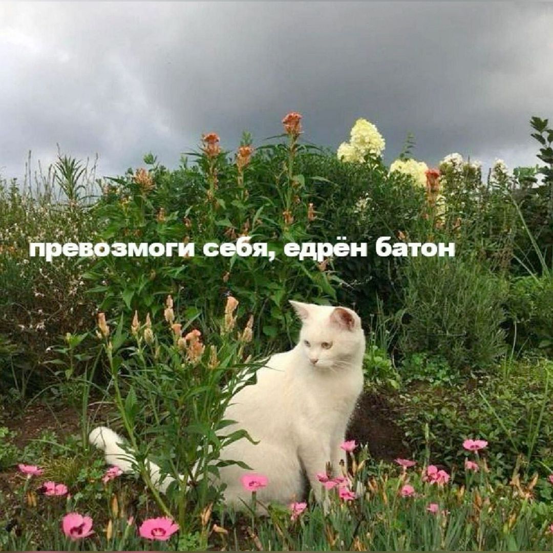 Asdsada - скачать ключи на Wildberries Цифровой | 205253