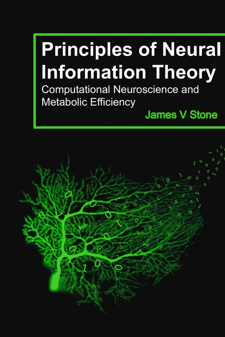 Principles of Neural Information Theory. Computational Neuroscience and Metabolic Efficiency ...