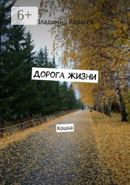 Дорога жизни - Владимир Карасев - купить и читать онлайн электронную ...