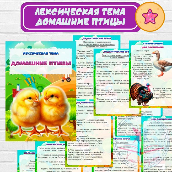 Лэпбук "День Победы" - Редлова Дарья - скачать на Wildberries Цифровой ...