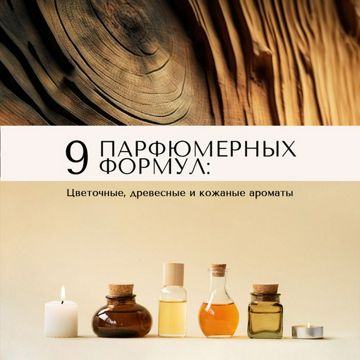 9 формул для парфюмера - Анна Зворыкина - скачать на Wildberries ...