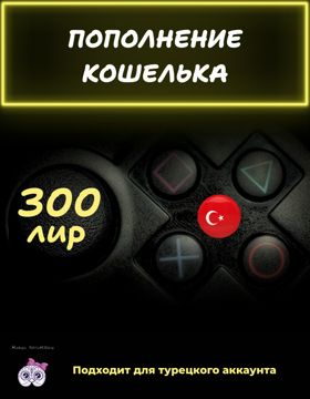 Пополнение кошелька 300 лир TL Турция - Карнаухова Анастасия - скачать на Wildberries Цифровой ...