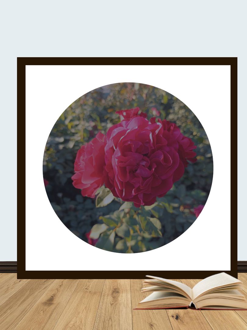 Интерьерный квадратный постер на стену 60х60 розовый цветок роза - Анна ...