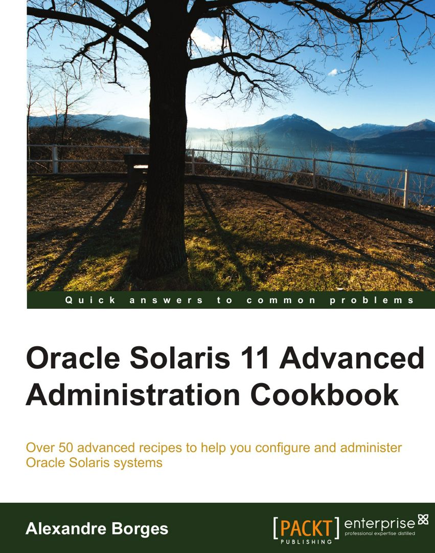 Oracle Solaris 11 Advanced Administration Cookbook - Alexandre Borges - купить и читать онлайн ...