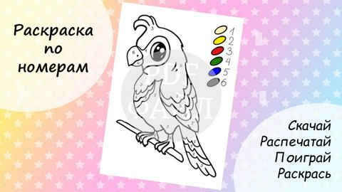 Раскраска по номерам Попугай - Благодерова Анна - скачать на ...